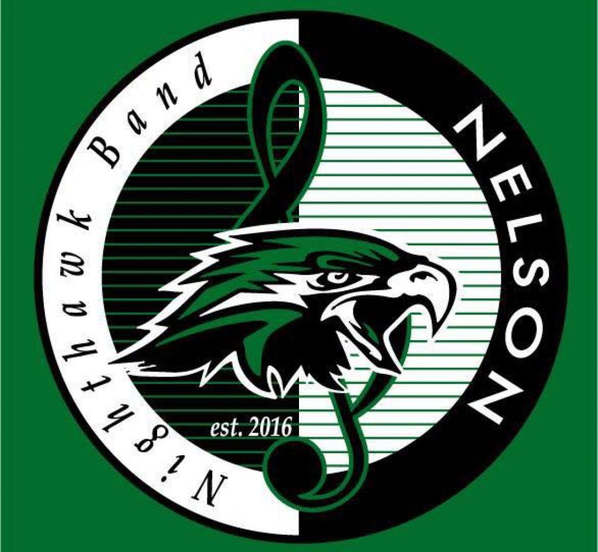 Which Instrument? | Nelson Nighthawk Band